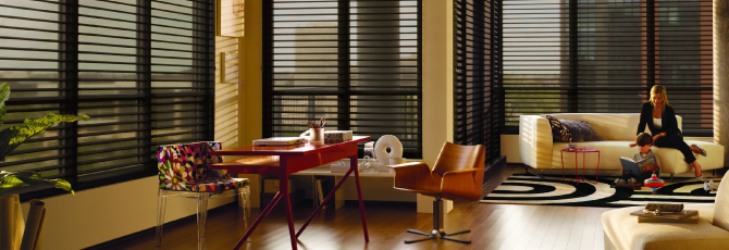 3D Velux - Winart Blinds